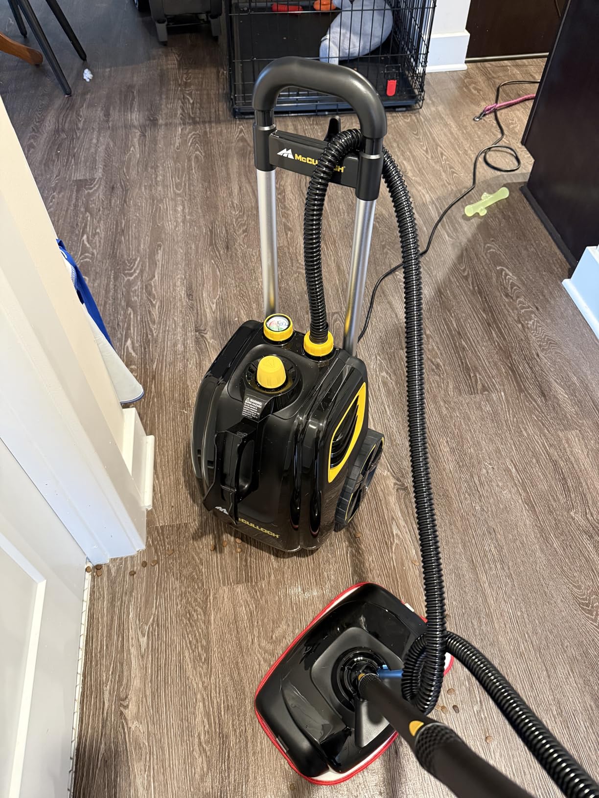 McCulloch MC1385 Deluxe Canister Steam Cleaner: Detailed Review ...